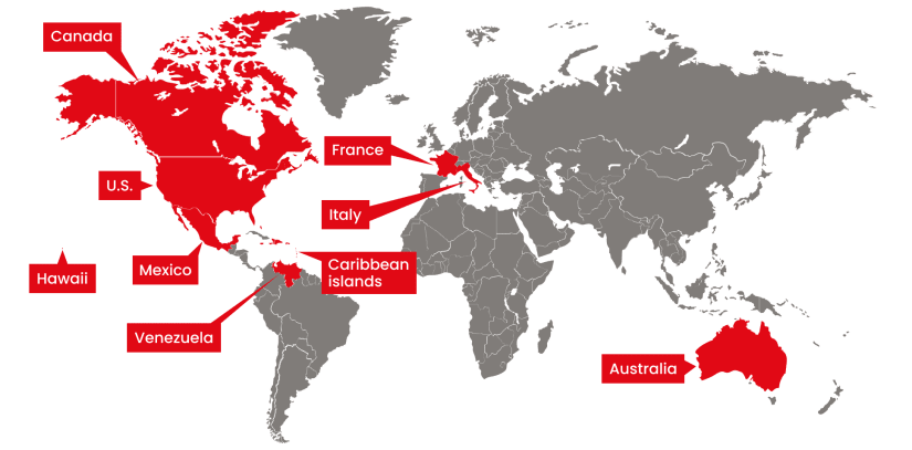 Our History | Croci North America
